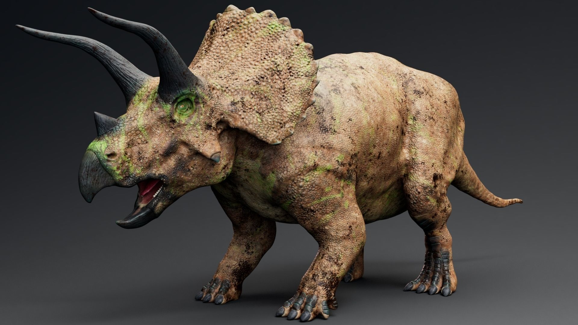 3D model Triceratops Unreal Engine and Unity Projects VR / AR / low ...