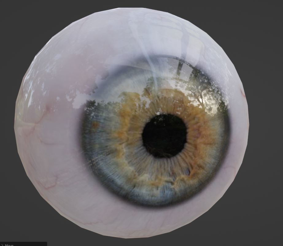 Eye ball 3D model | CGTrader