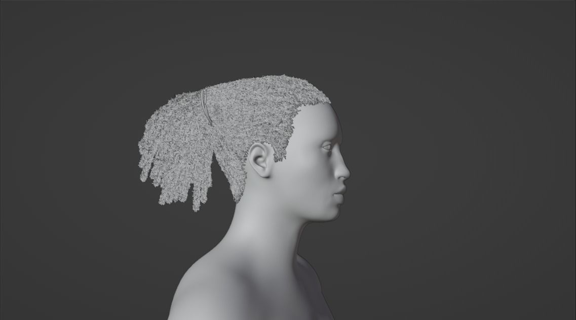 Dreadlocks Ponytail 3D model | CGTrader