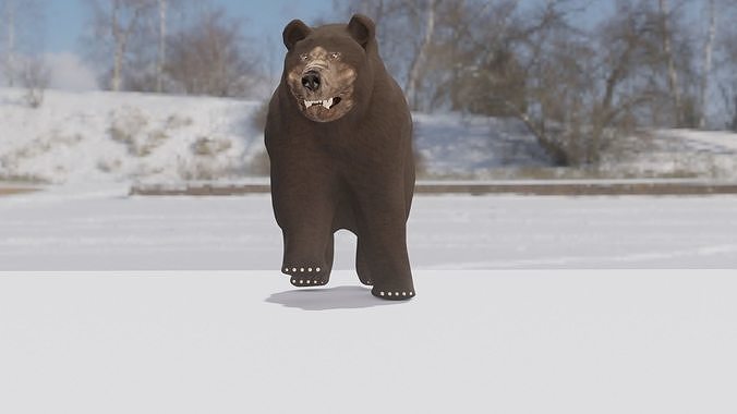 Free bear free 3D model animated rigged | CGTrader