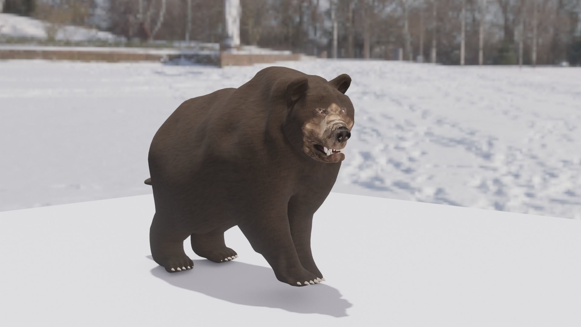 Free bear free 3D model animated rigged | CGTrader