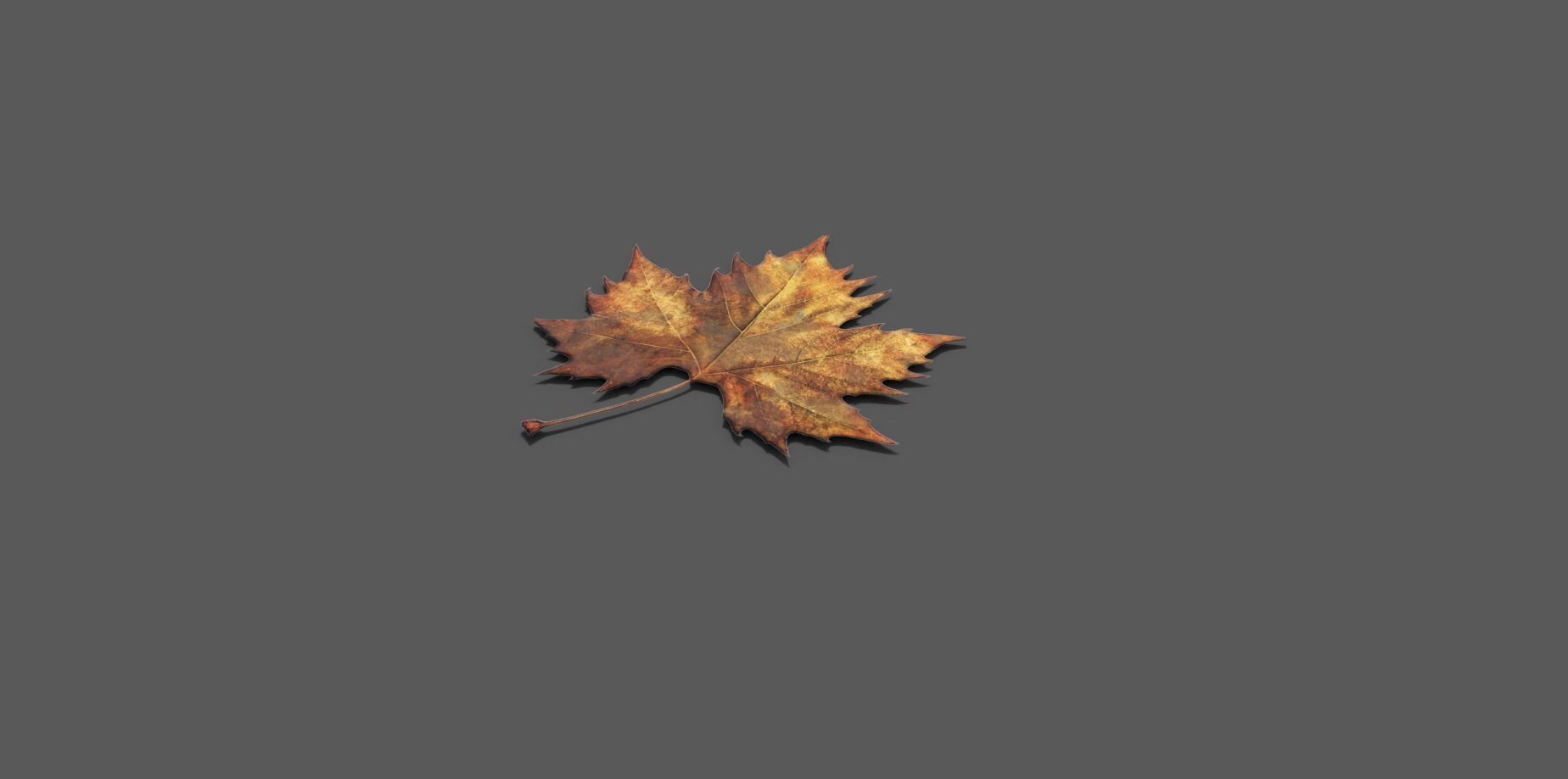 Texture 20 Leaf Material With Alpha Pack VR / AR / low-poly | CGTrader