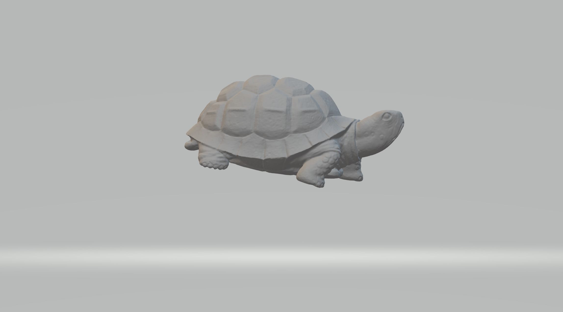 Turtle 3D Model tortoise 3D model 3D printable | CGTrader