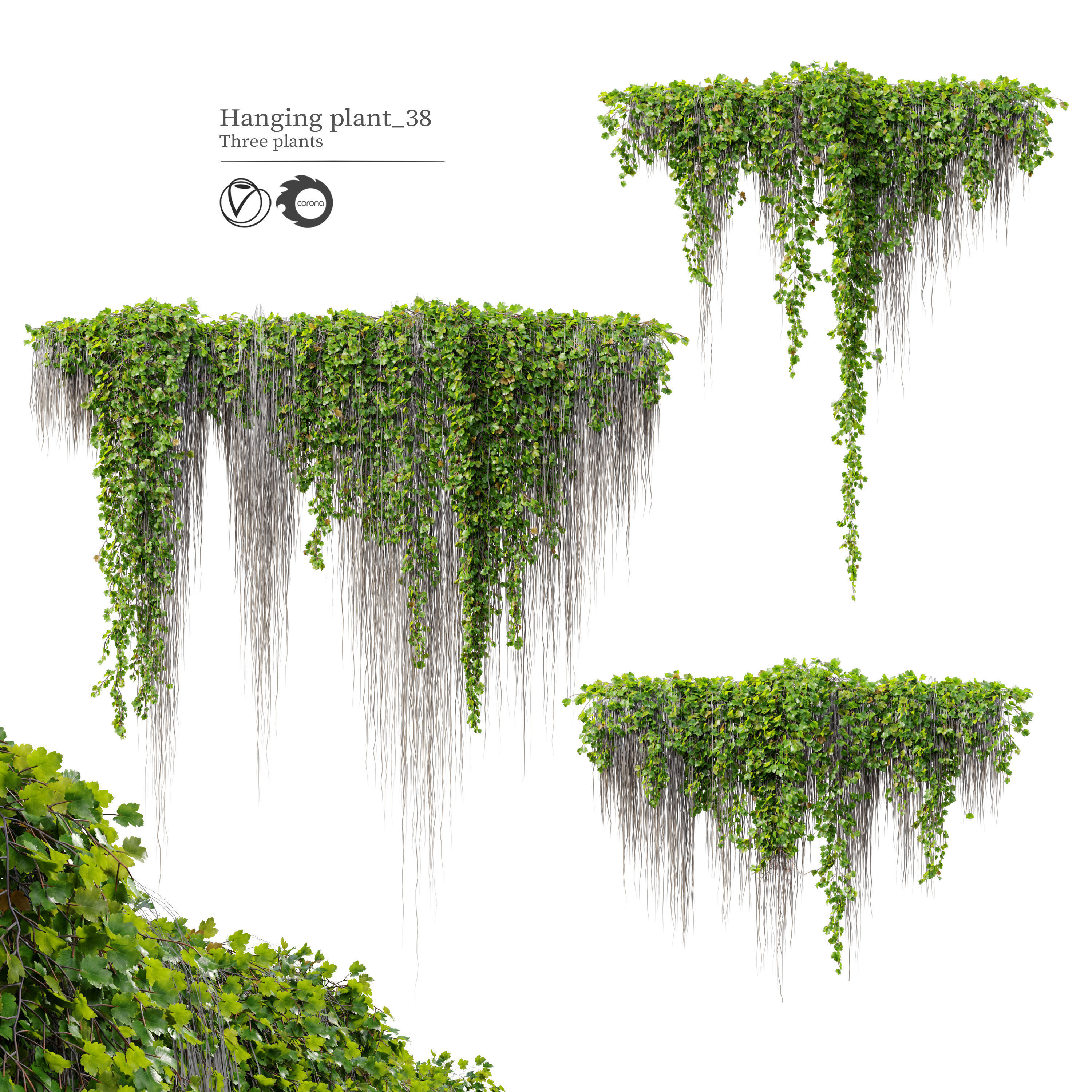 Hanging Plant 38 3D model | CGTrader