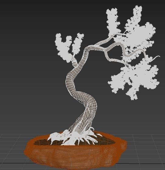 Bonsai plant 01 3D model | CGTrader