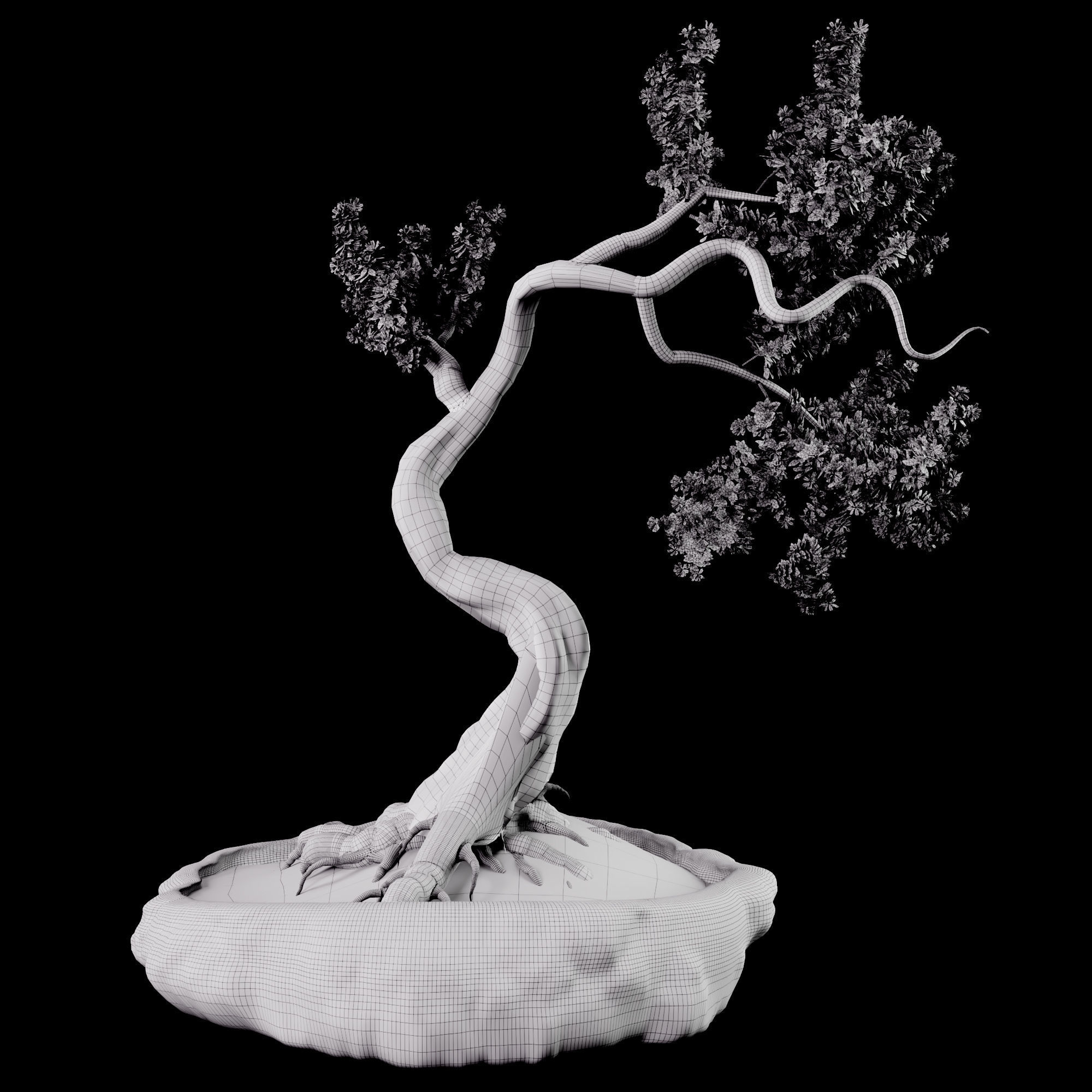 Bonsai plant 01 3D model | CGTrader