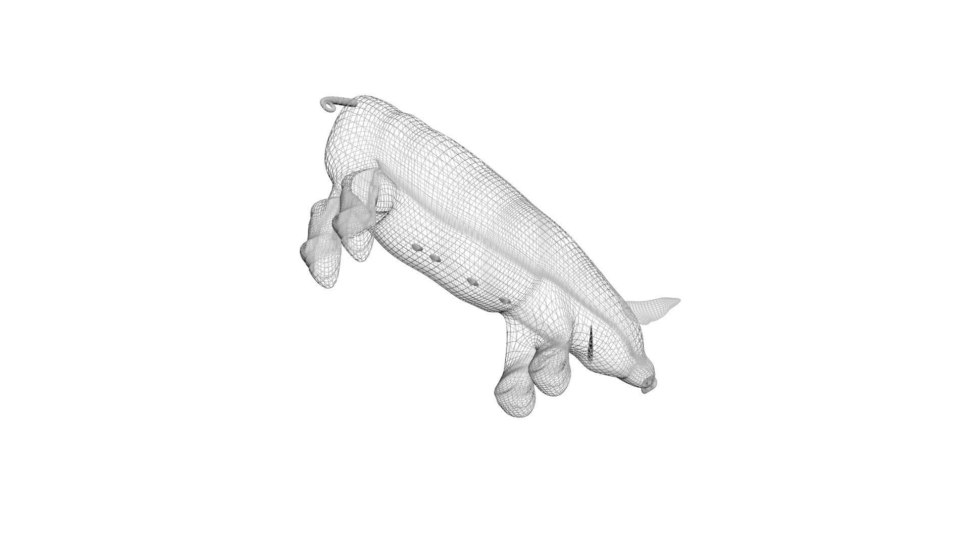 Pig Animal 3D model | CGTrader