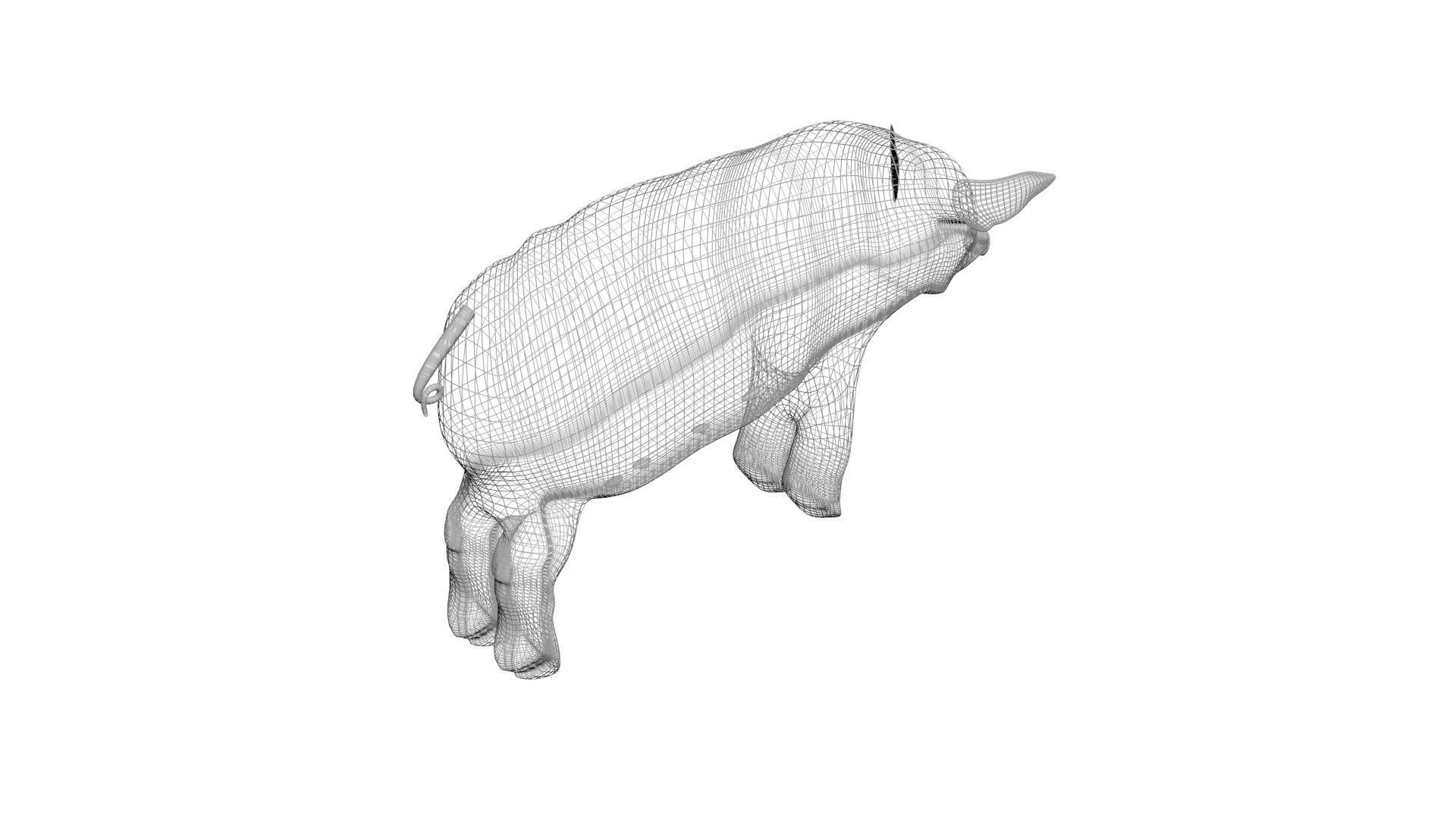 Pig Animal 3D model | CGTrader