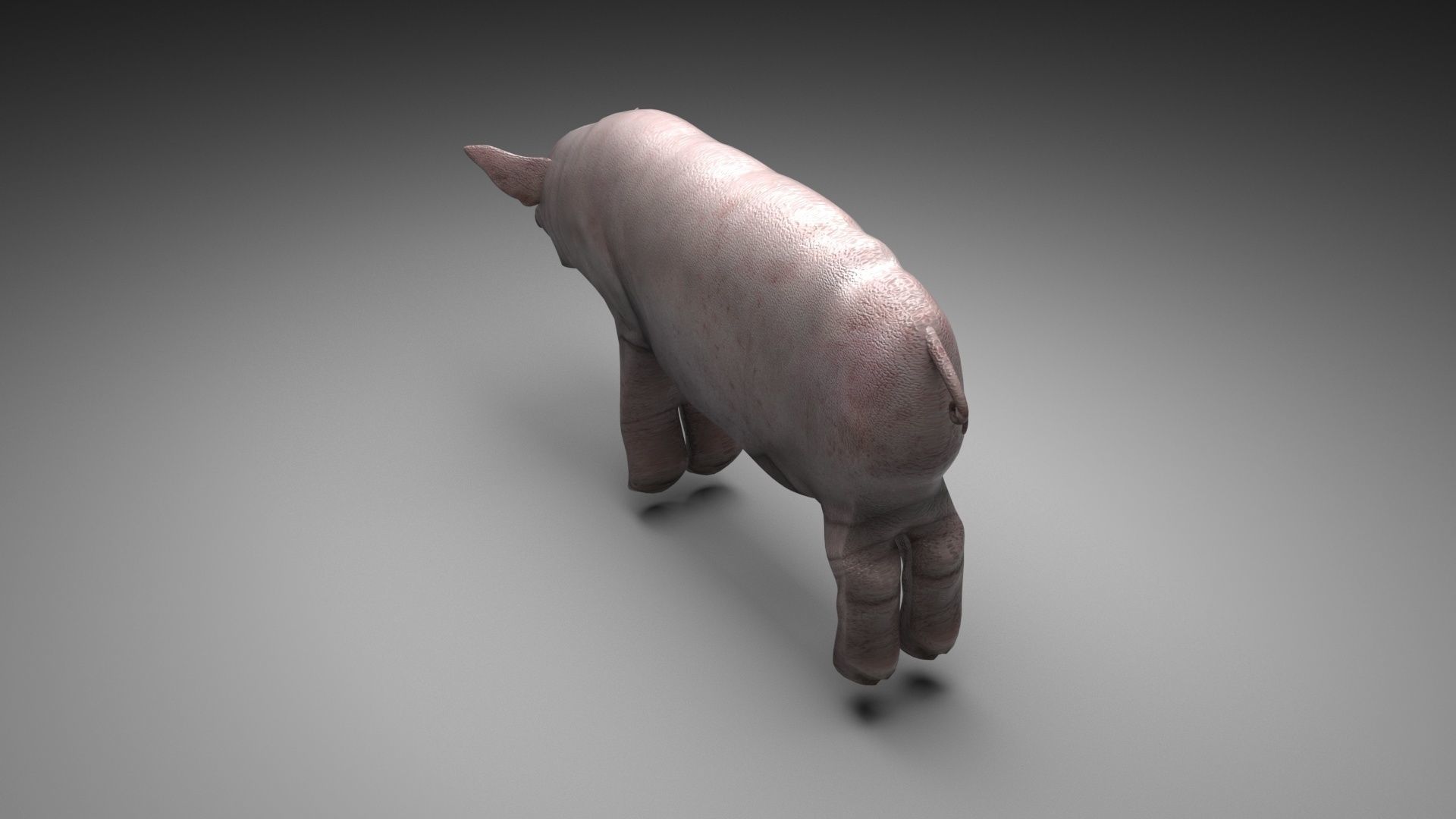 Pig Animal 3D model | CGTrader