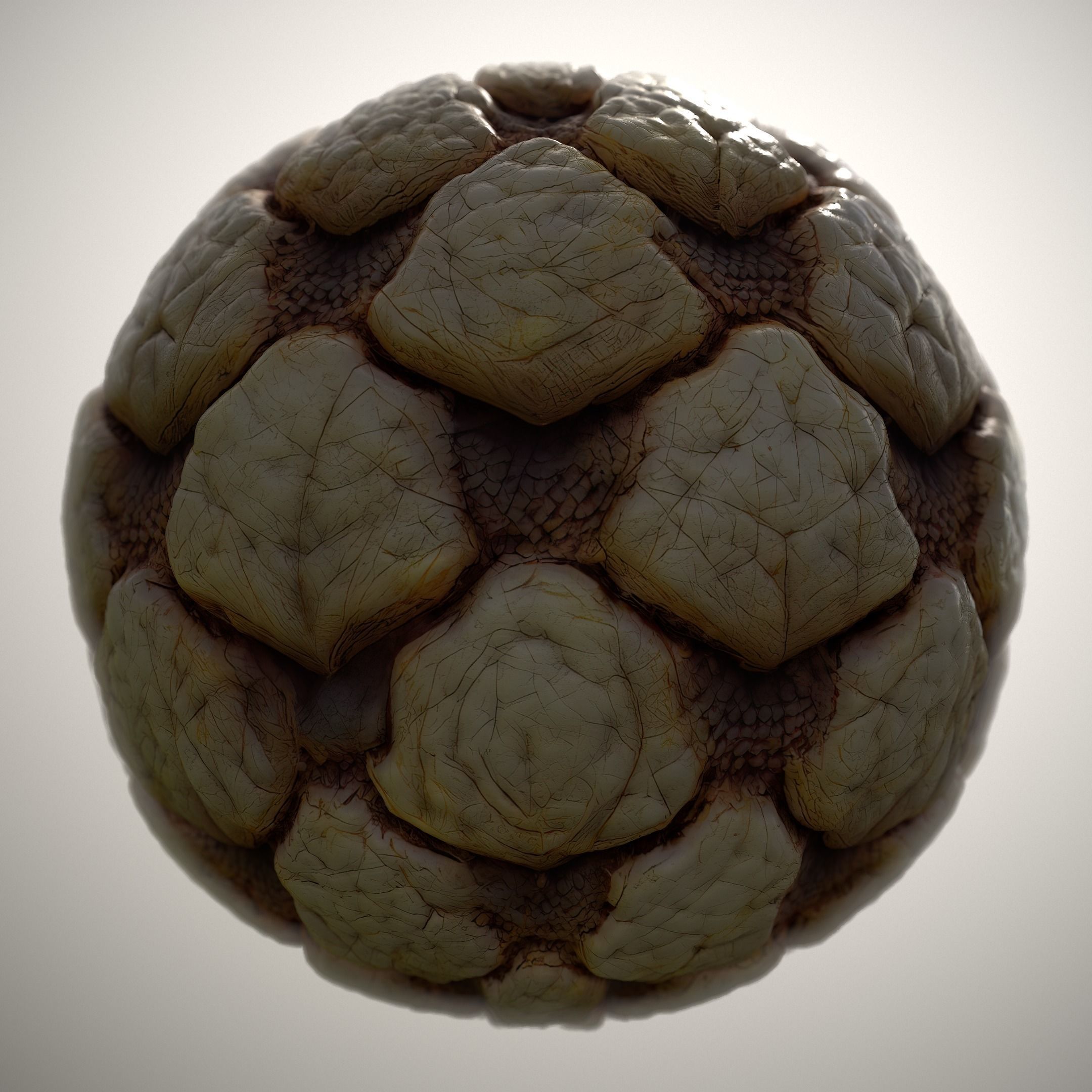 Material Skin Alien 23 Seamless PBR Texture Texture | CGTrader