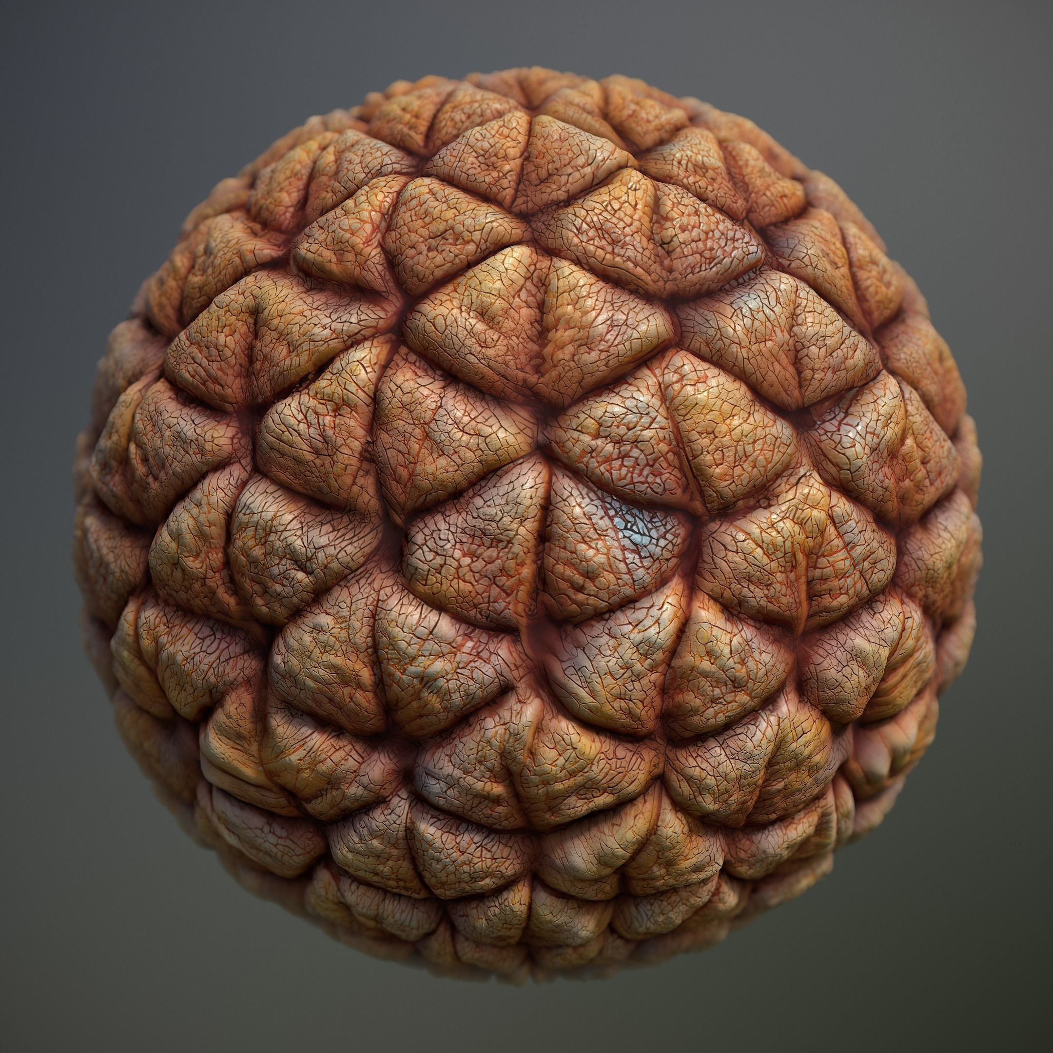 Material Skin Alien 21 Seamless PBR Texture Texture | CGTrader