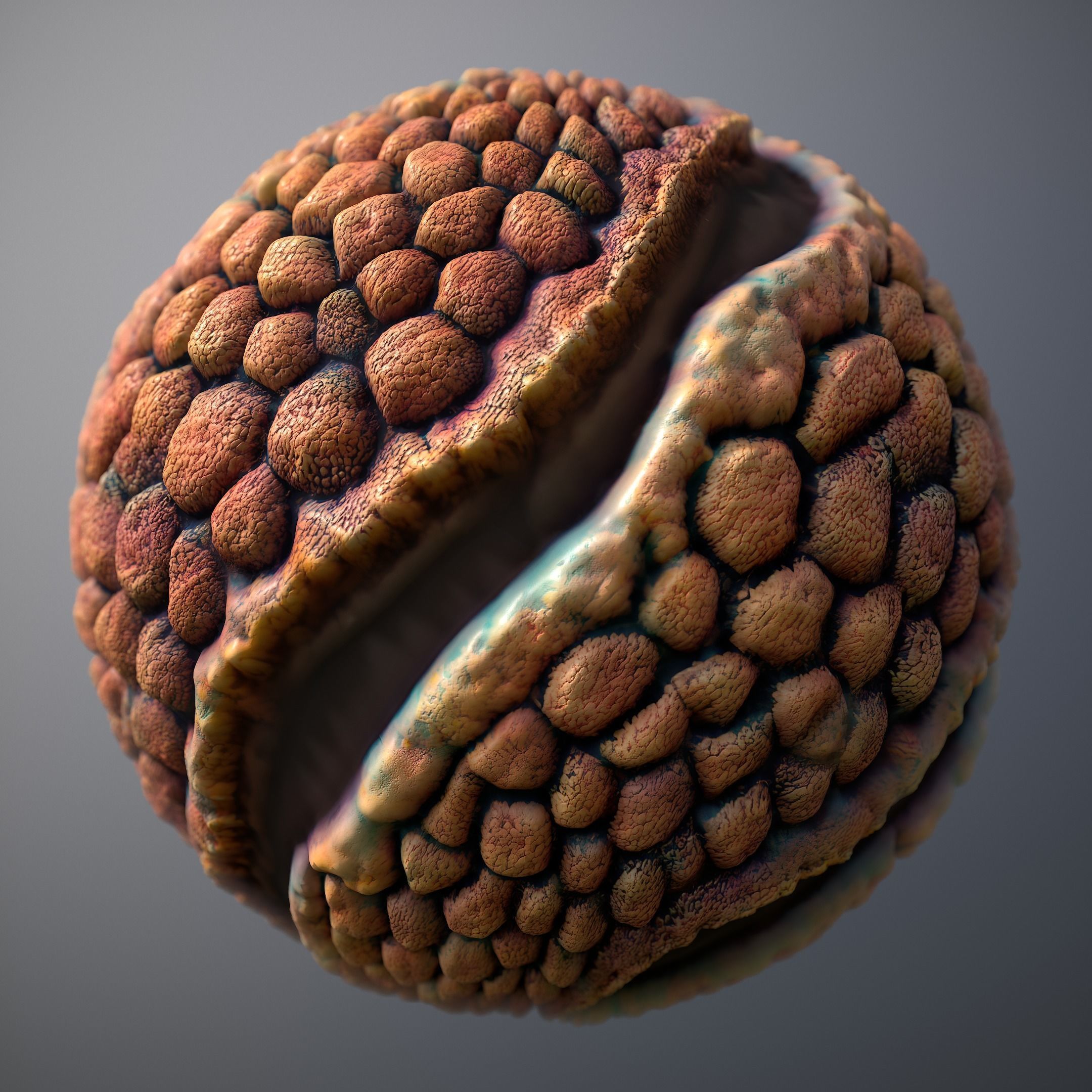 Material Skin Alien 12 Seamless PBR Texture Texture | CGTrader