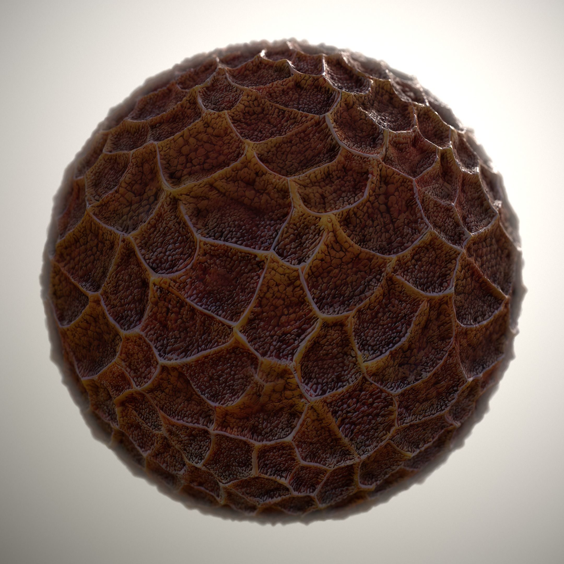 Material Skin Alien 11 Seamless PBR Texture Texture | CGTrader