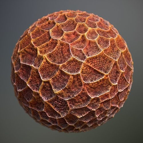 Material Skin Alien 11 Seamless PBR Texture Texture | CGTrader