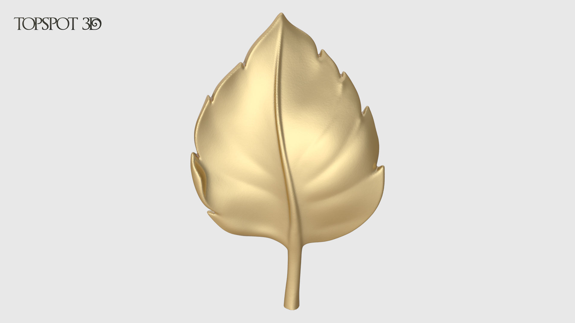 Rose Buds And Leaves Set 3D model 3D printable | CGTrader