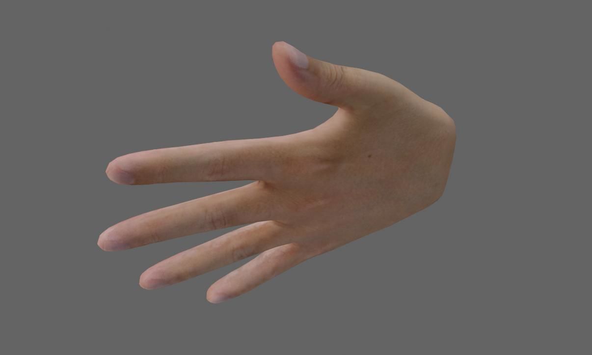 3D model Rigged Hand - With Real texture - Mao VR / AR / low-poly ...