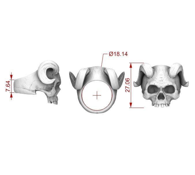 Alexander the Horned Skull Ring Stl 3D Model Silver Casting 3D 3D model ...