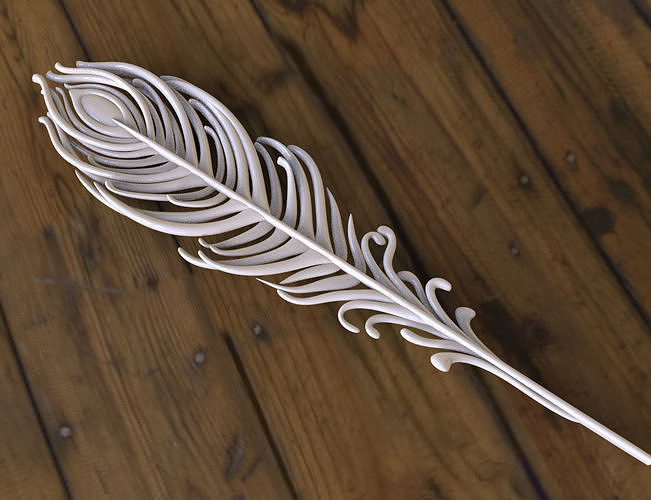 feather of peacock 3D model 3D printable | CGTrader