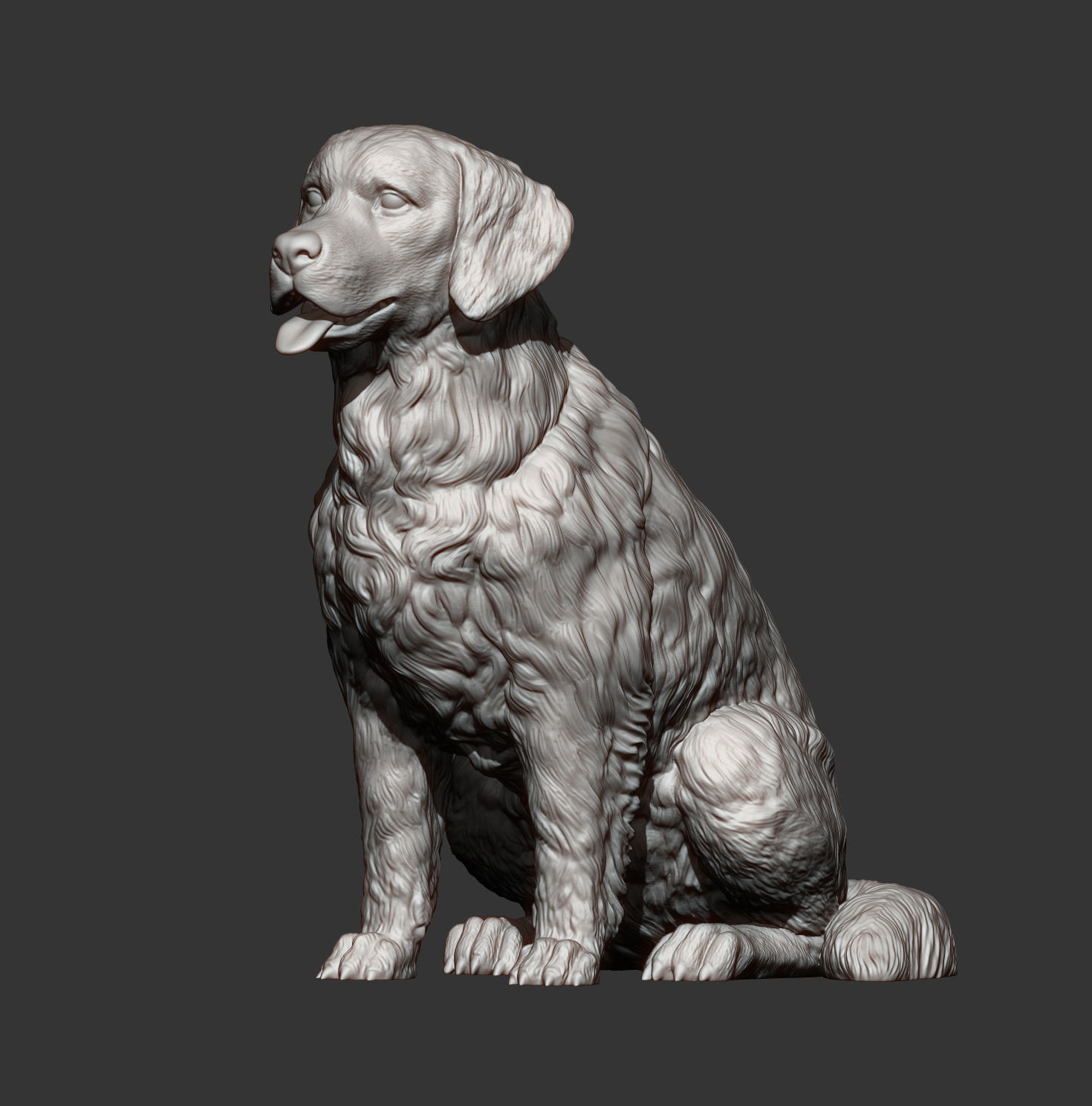 Golden retriever 3D model 3D printable | CGTrader