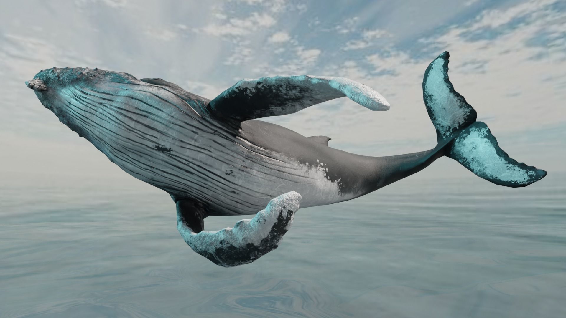 3D model Humbpack Whale Animated VR / AR / low-poly | CGTrader