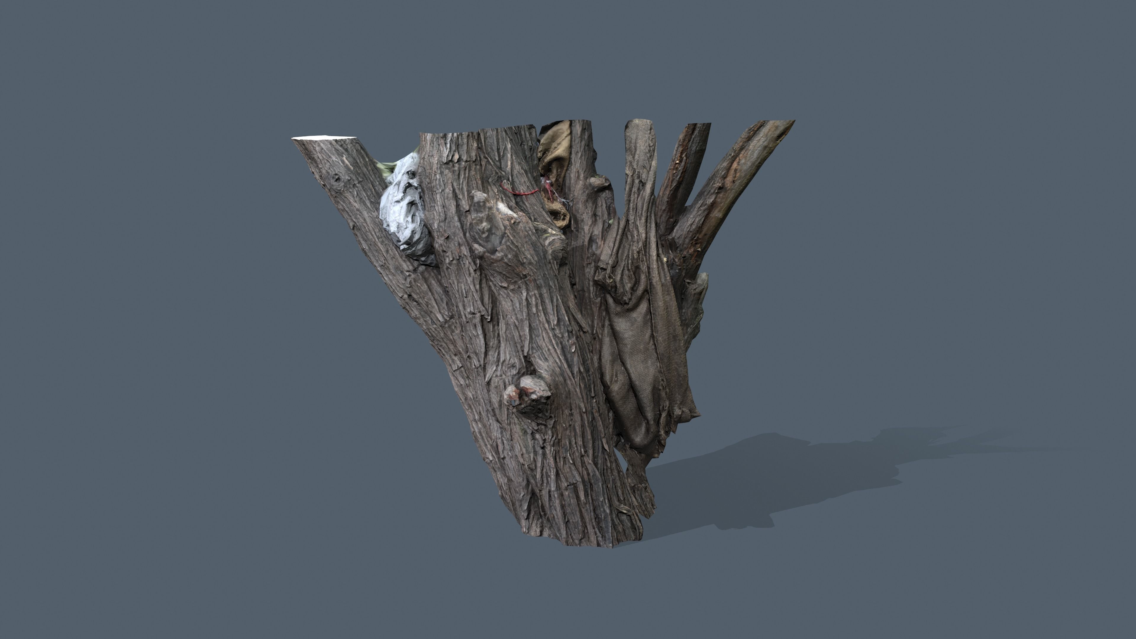 3D model Wood Bark Low Poly VR / AR / low-poly | CGTrader