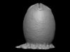 3D PRINTABLE ALIEN EGG OVOMORPH 1979 WITH BASE 3D model 3D printable ...