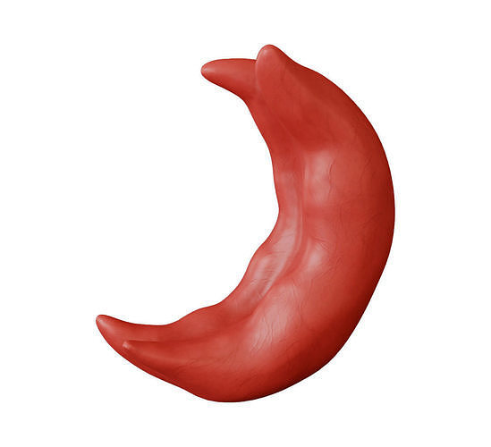 3D model Red blood sickle cell VR / AR / low-poly | CGTrader