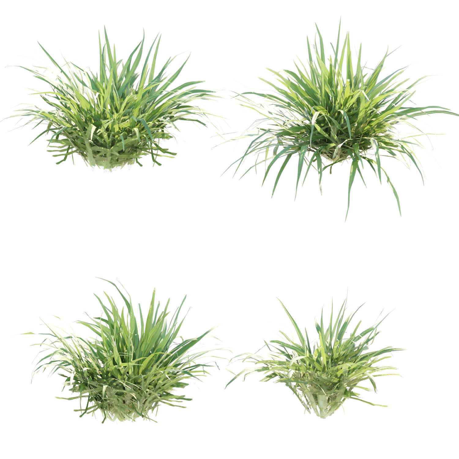 Grass Clumps vol 152 3D model | CGTrader