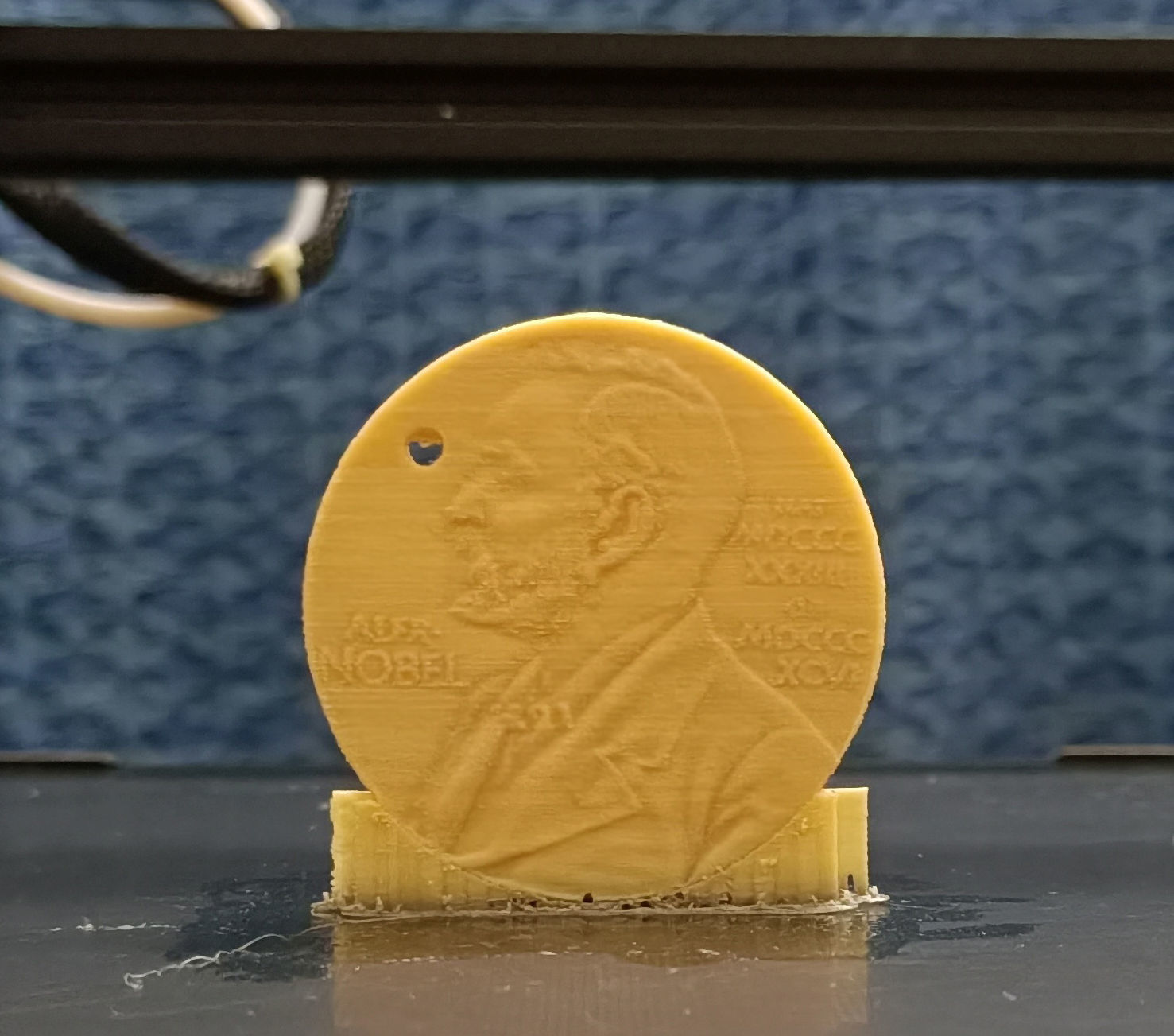 Nobel Prize 3D model 3D printable | CGTrader