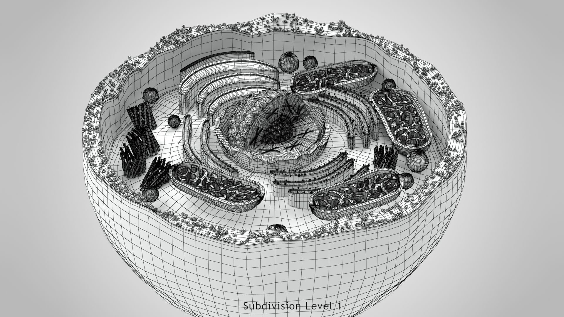 3D model Plasma Cell VR / AR / low-poly | CGTrader