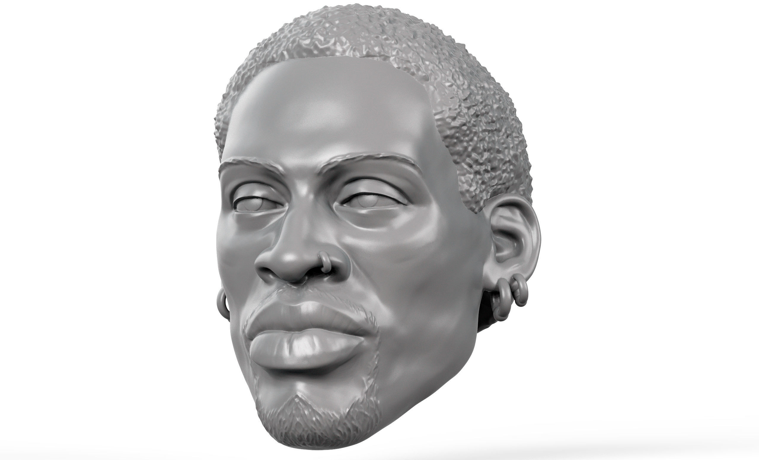 Dennis Rodman 3d Printable Action Figure Portrait 3d Model 3d Printable