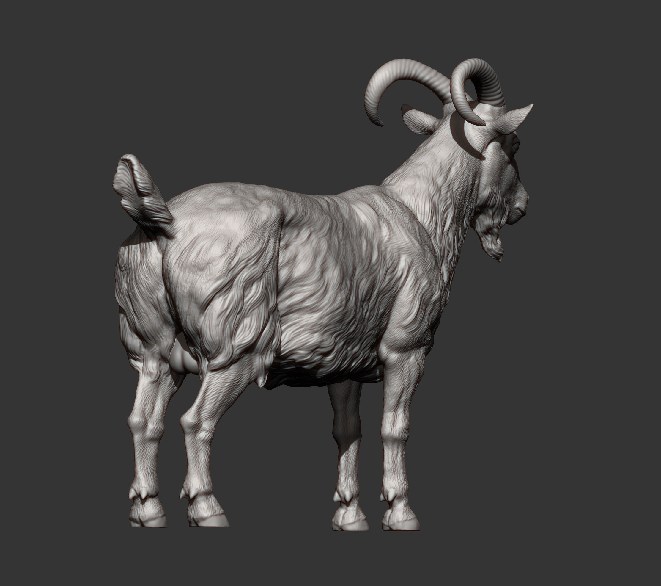 Goat 3D print model 3D model 3D printable | CGTrader
