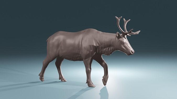 Young realistic Caribou Reindeer high poly for printing 3D model 3D ...