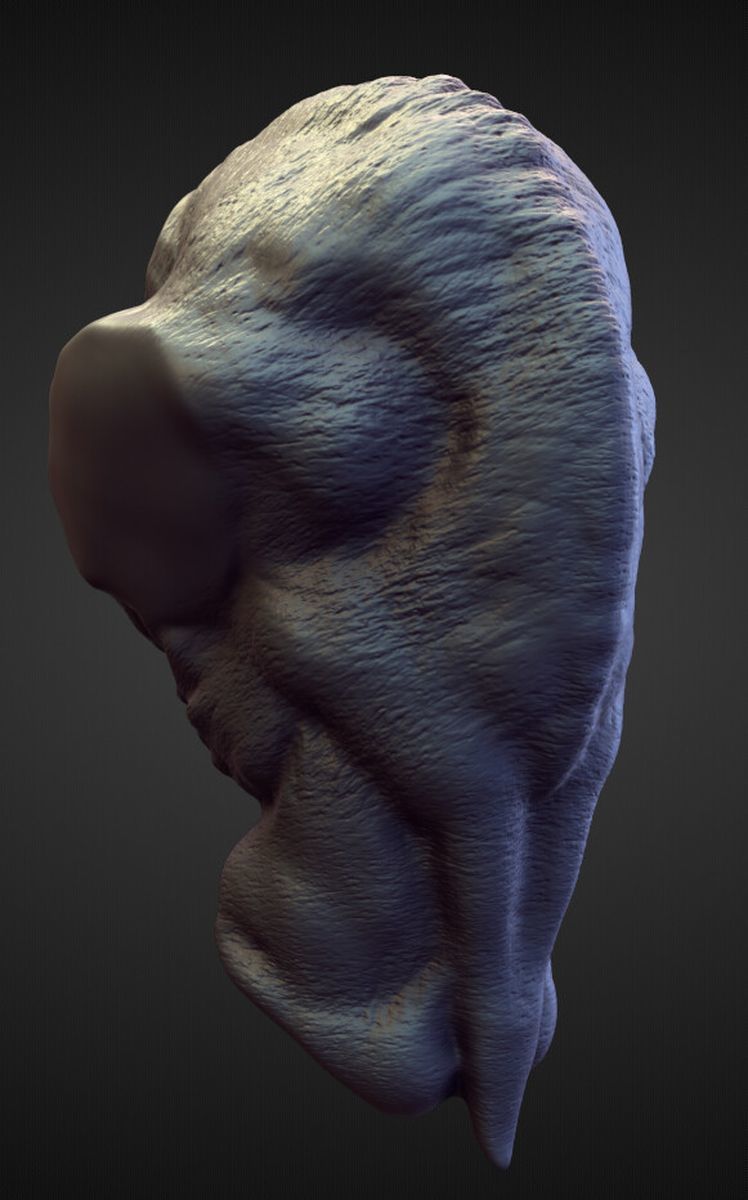 TORSO21 high poly sculpt 3D model | CGTrader