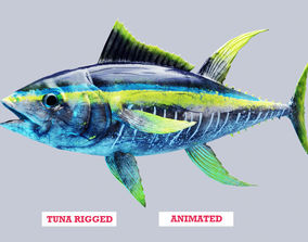 Animated Tuna 3D Models | CGTrader