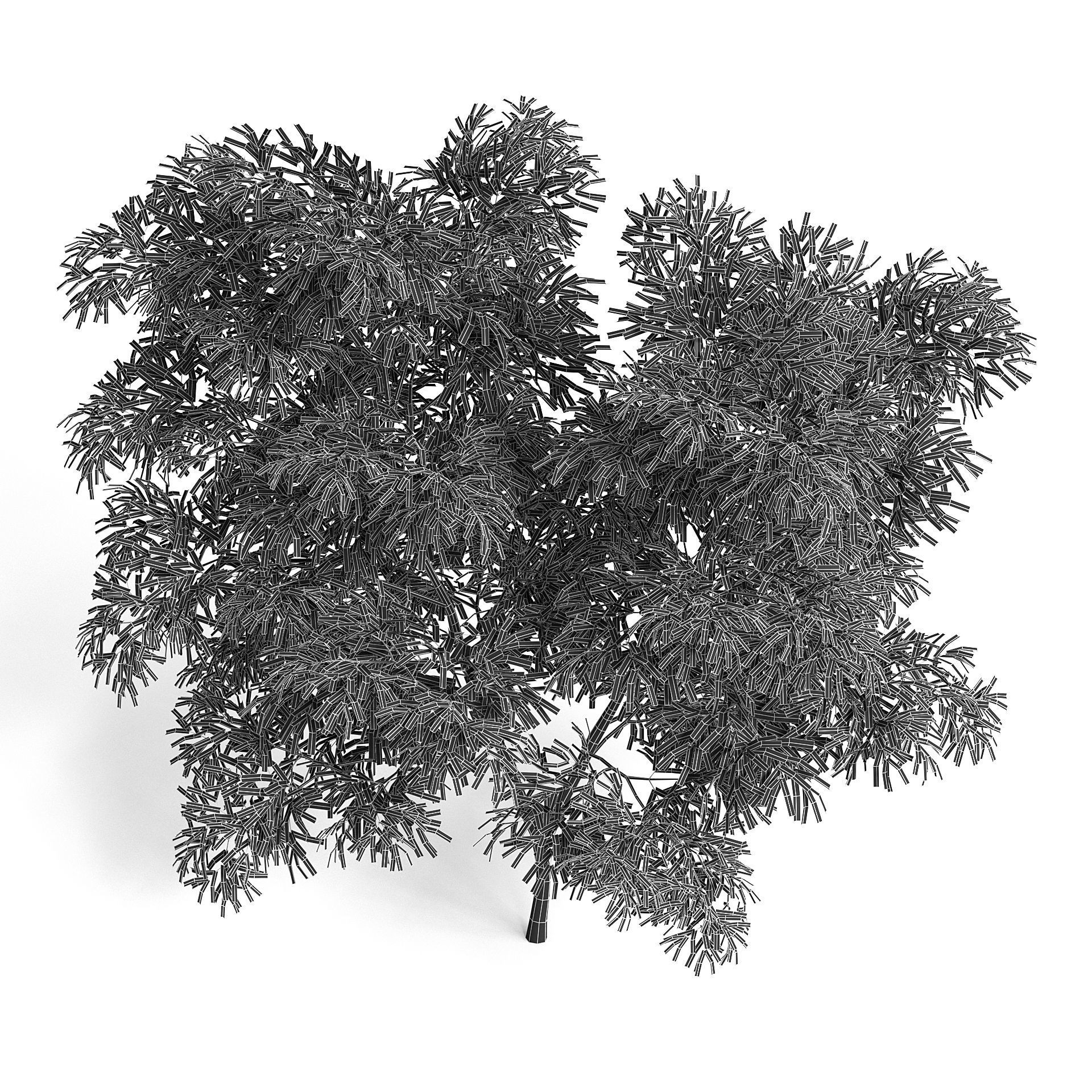Olive Tree III 3D model | CGTrader