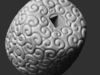 KILO KILO NO MI - ONE PIECE DEVIL FRUIT 3D model 3D printable | CGTrader
