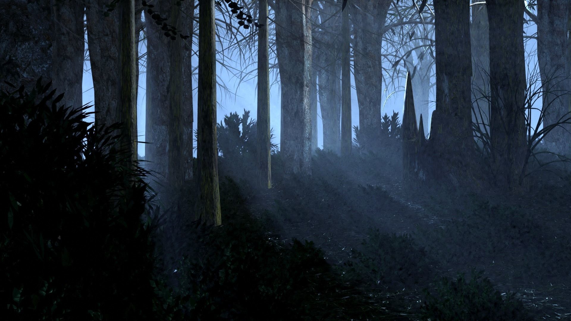 3D model Dark Forest Animation VR / AR / low-poly | CGTrader