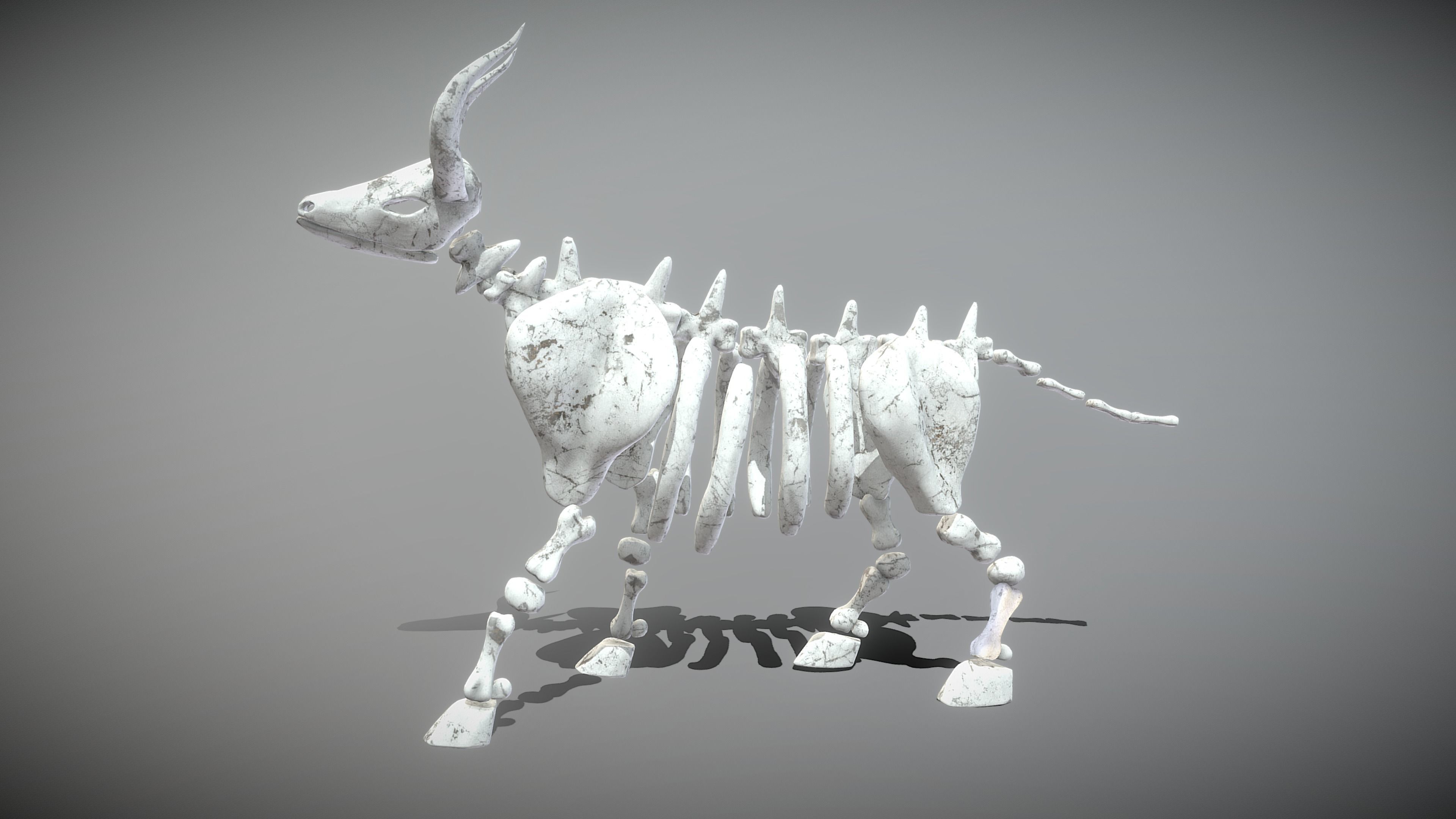 3D model Bull Skeleton VR / AR / low-poly rigged animated | CGTrader