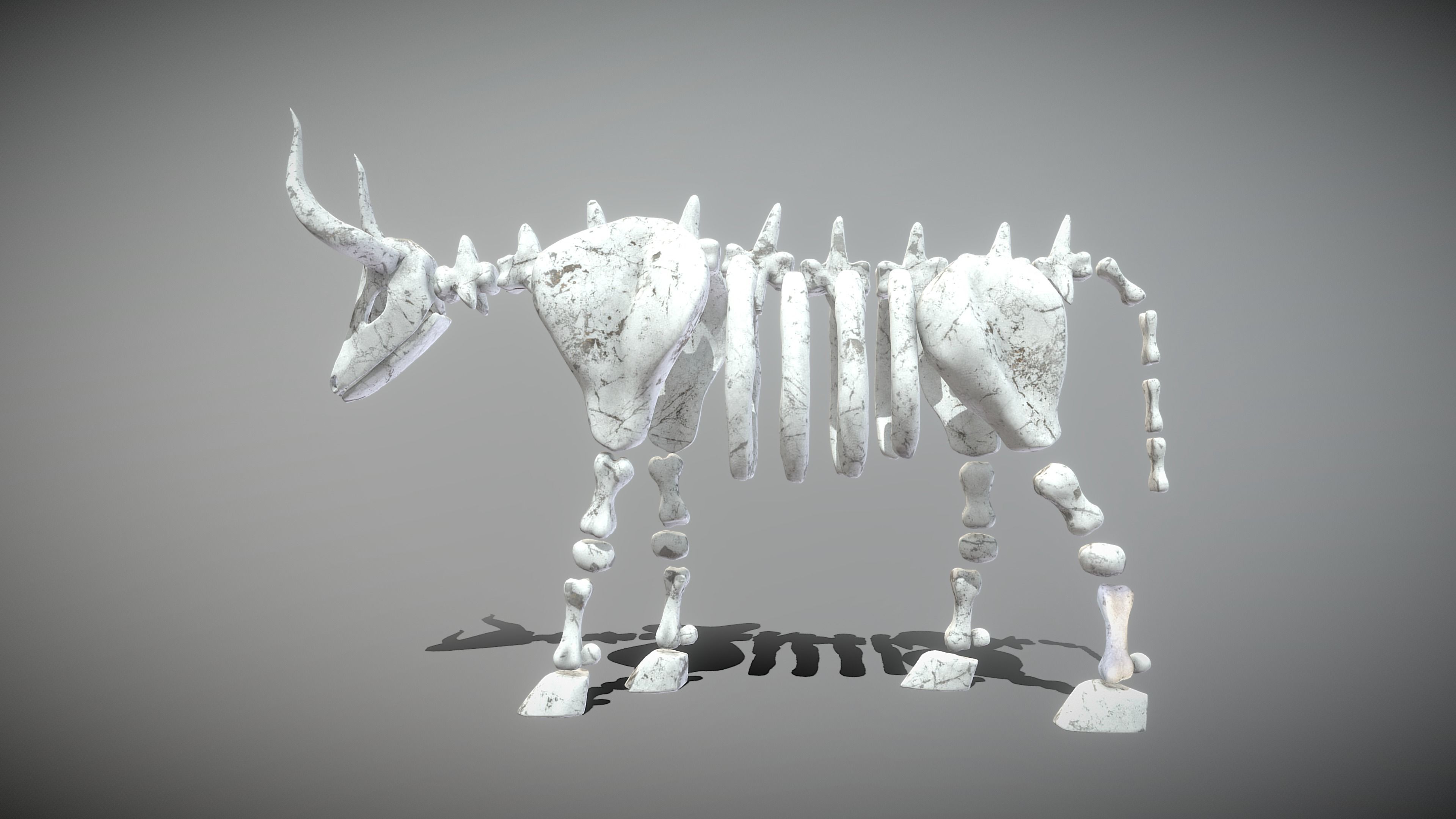 3D model Bull Skeleton VR / AR / low-poly rigged animated | CGTrader
