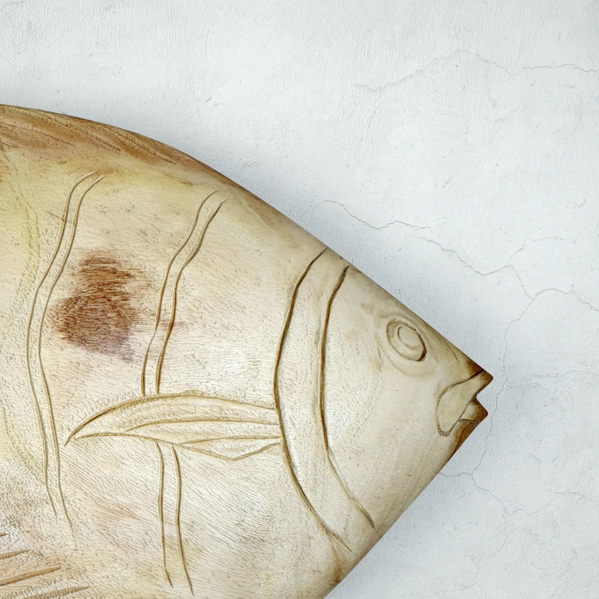 Wall Relief Fish 3D model | CGTrader