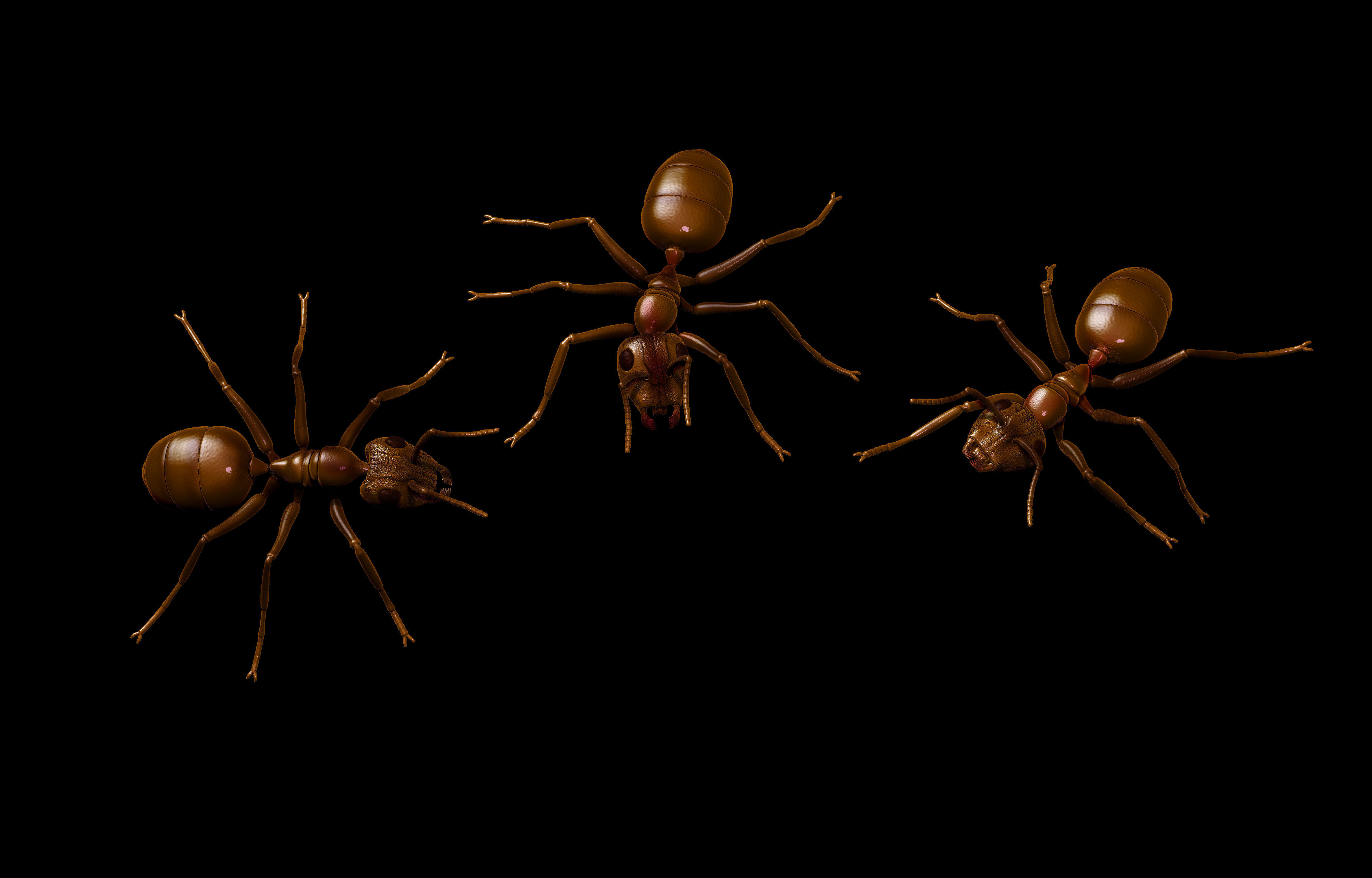 Ant different poses 3D model 3D printable | CGTrader