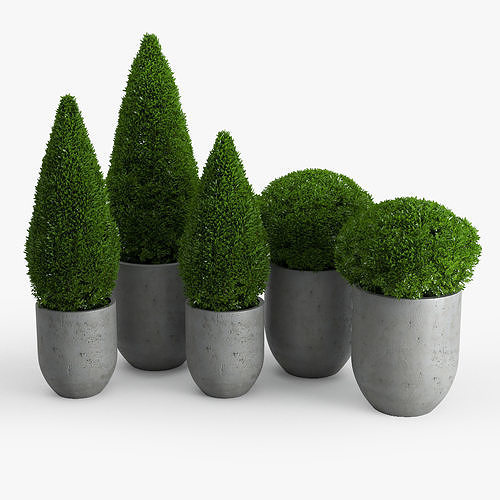 Concrete bush 3D model | CGTrader