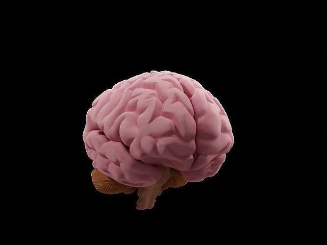 Moving Brain Animation