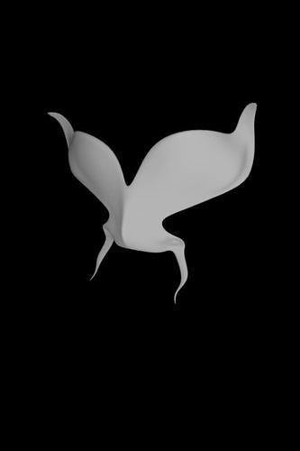 butterfly wings 3D model animated | CGTrader