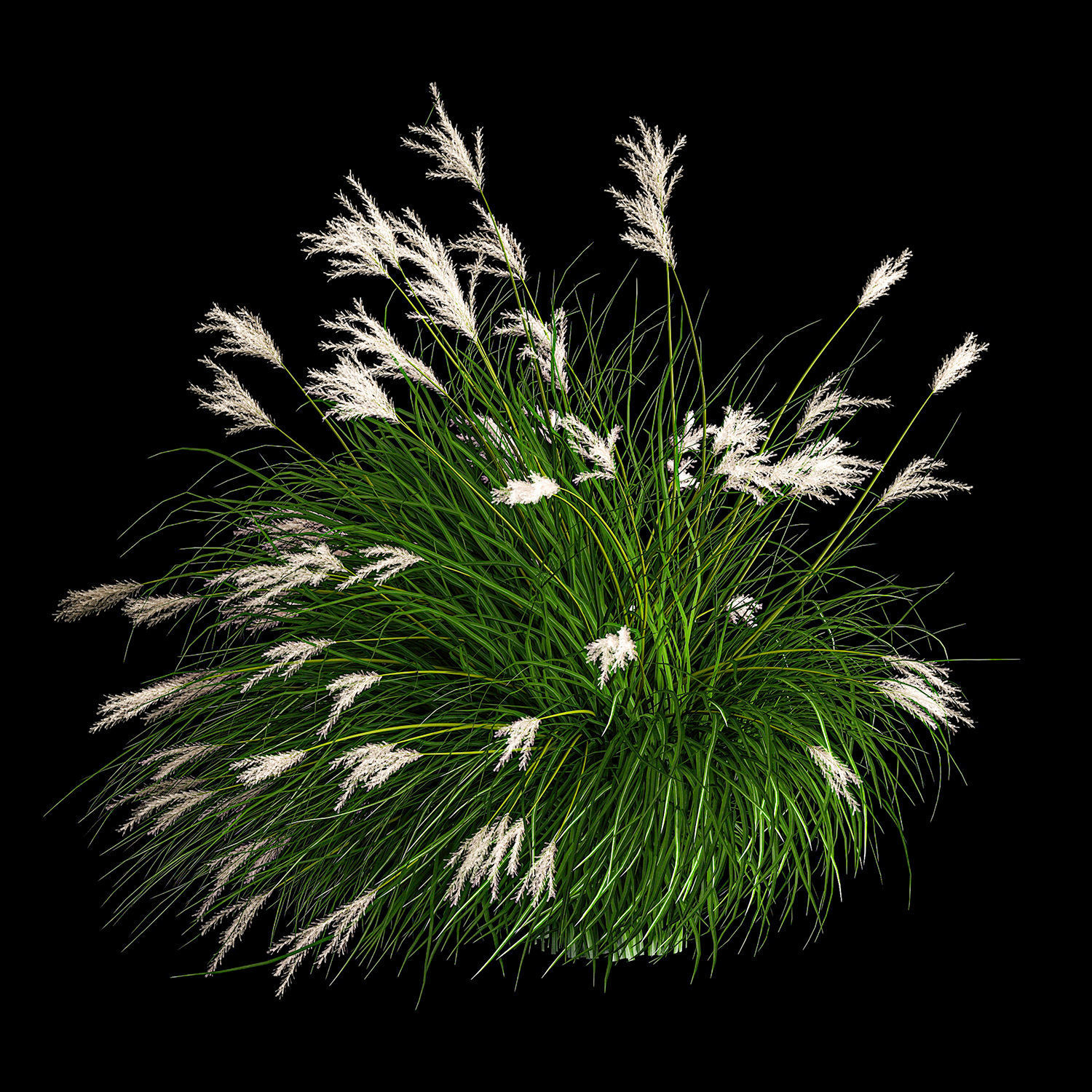 Ornamental Bushes For Landscape Design 1131 3D model | CGTrader