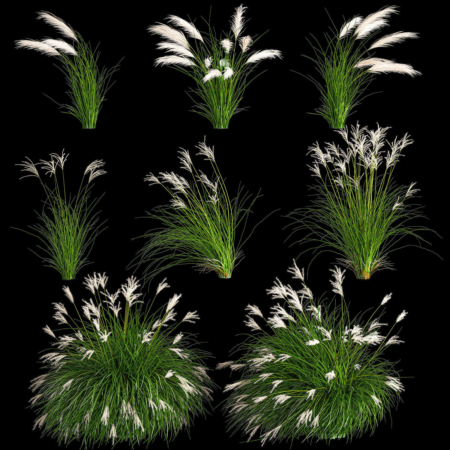 Ornamental Bushes For Landscape Design 1131 3D model | CGTrader