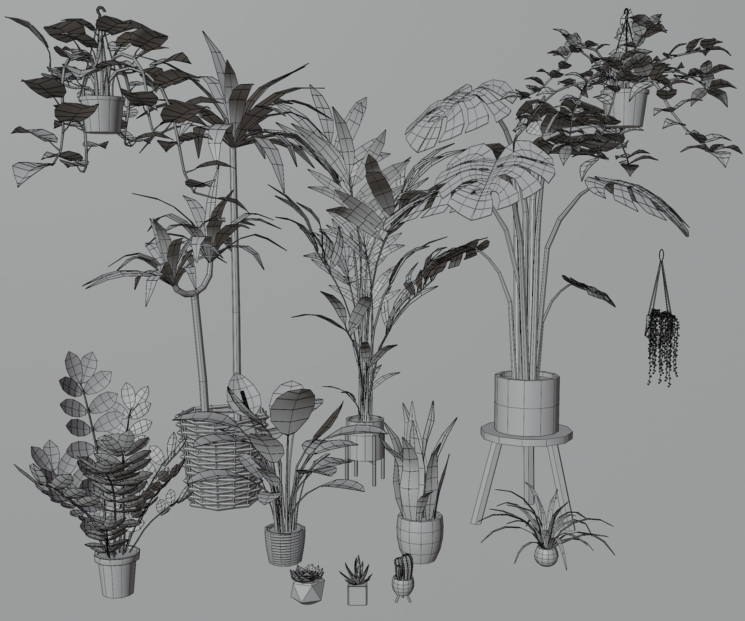 3D model Indoor plants VR / AR / low-poly | CGTrader