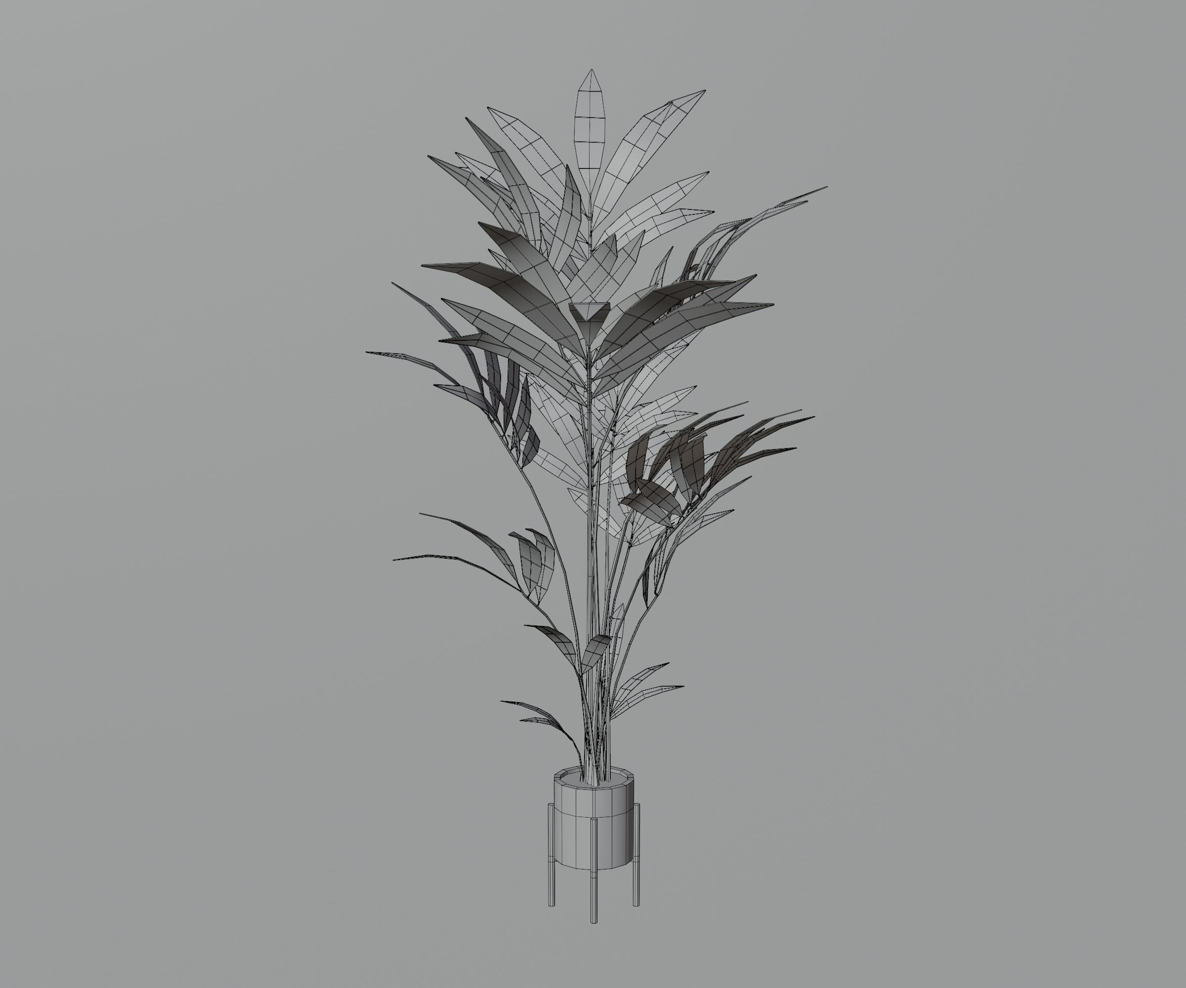 3D model Indoor plants VR / AR / low-poly | CGTrader