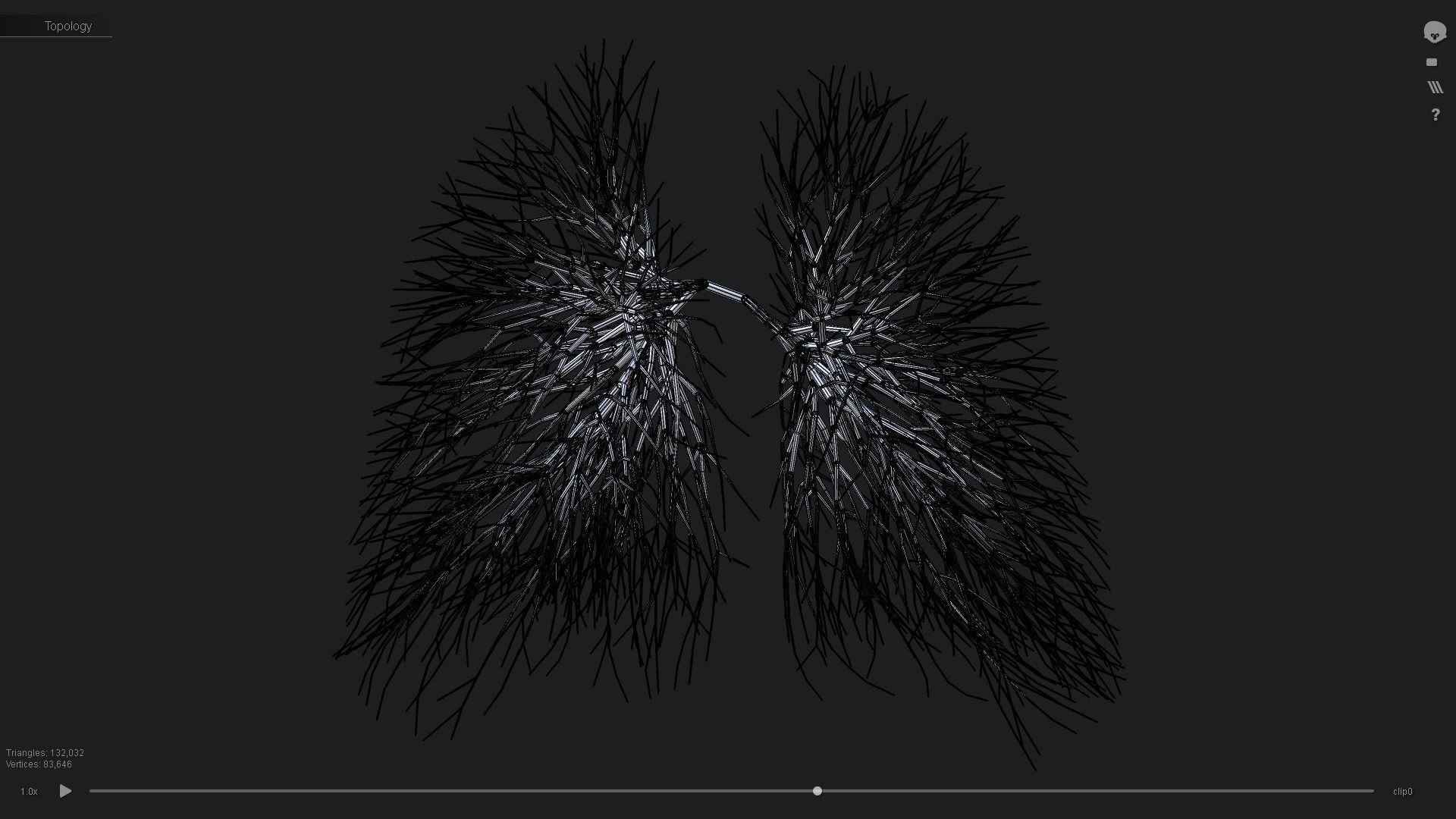 Human lungs made out of lines Unrolling growing animation 3D model ...